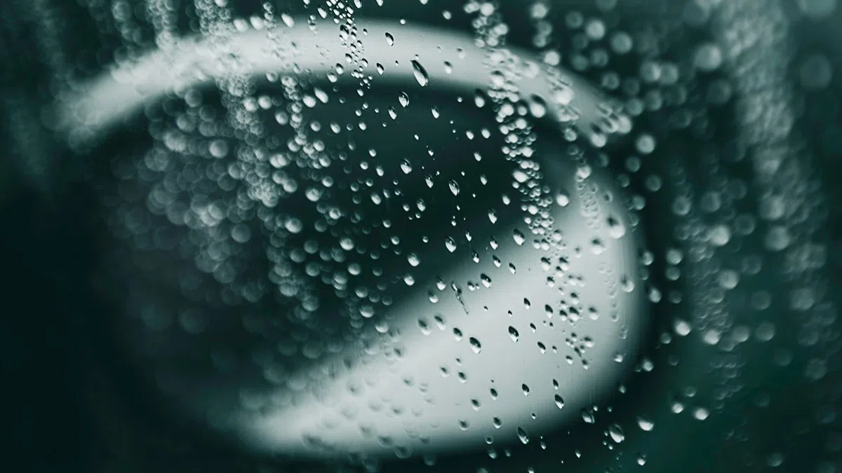 Environment Canada warns of flash flooding as heavy rain pounds Cobden ...