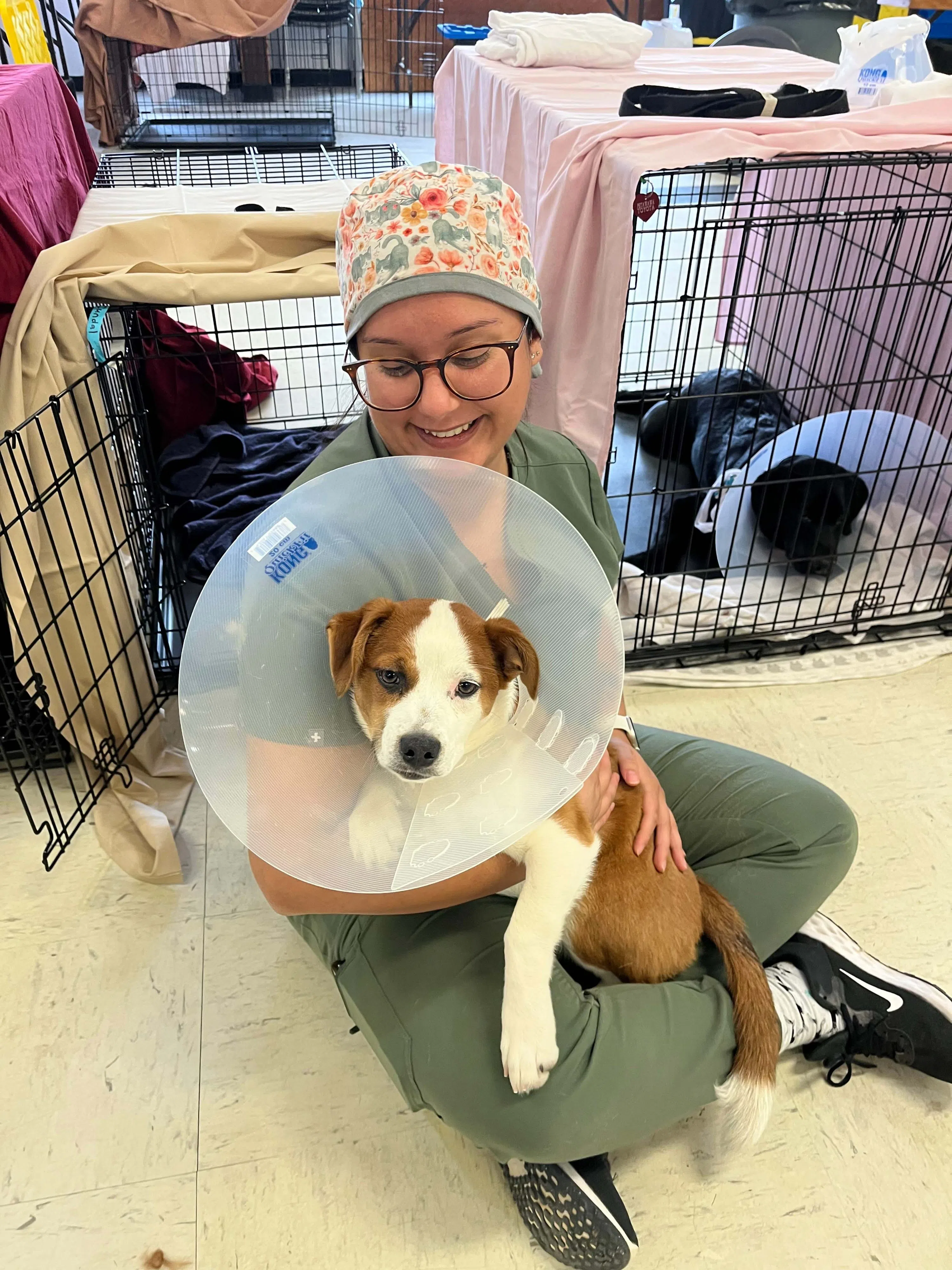 Celebrate your local vet: nominate them in the Veterinary Appreciation ...