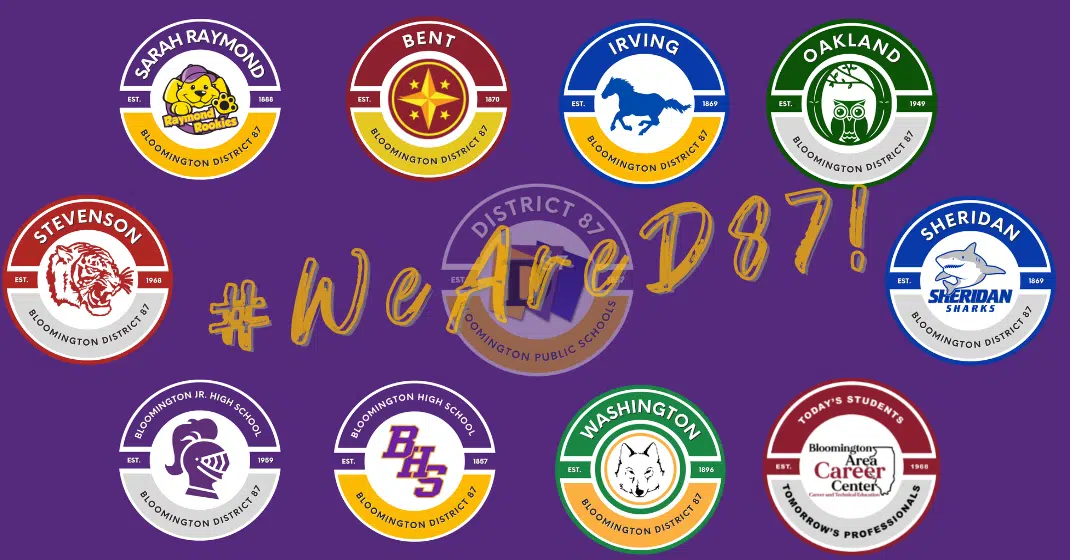 District 87 Resident Questions Koehler’s End Around to Avoid Referendum ...