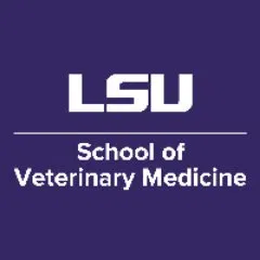 LSU SVM scores significant grant | louisianaradionetwork.com