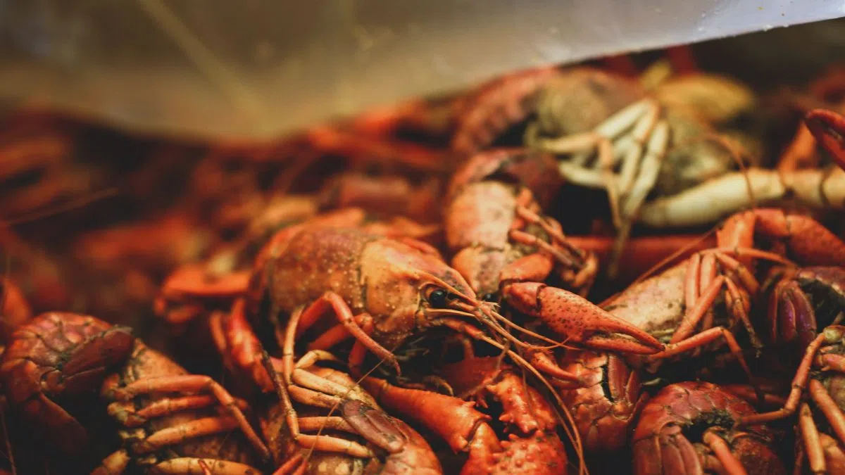 2024 expected to be one of the worst crawfish seasons on record ...