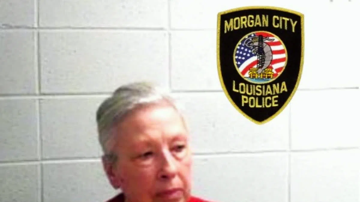Morgan City police arrest woman after discovering 22 dead cats in her ...