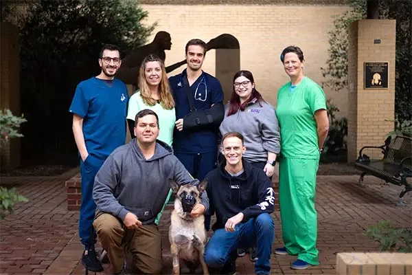 LSU School of Veterinary Medicine provides treatment to Astra, a ...