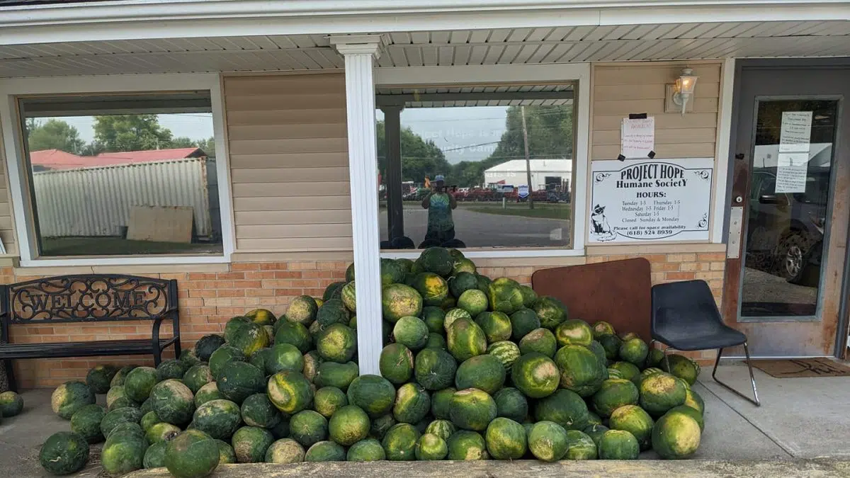 Project Hope Humane Society Watermelon Sale | WMOK