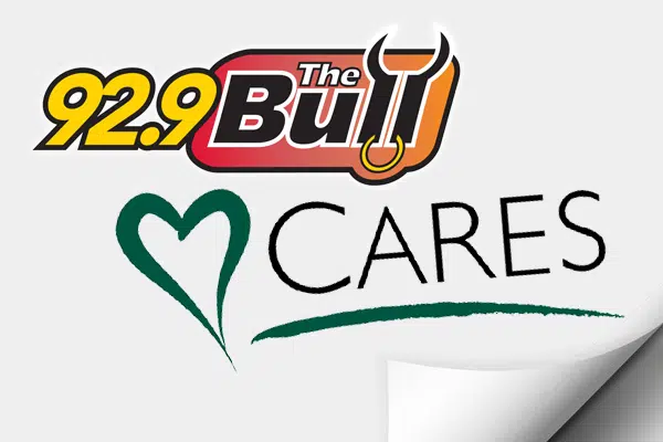 92.9 The Bull