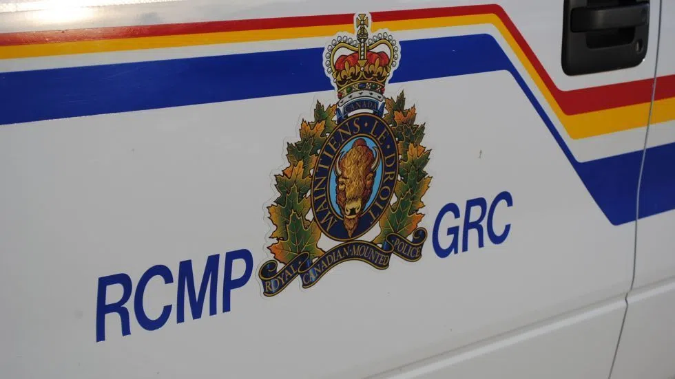 Humboldt RCMP arrest suspect accused of multiple thefts in area ...