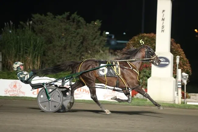 Richest standardbred horse Foiled Again to run at Mohawk Racetrack ...