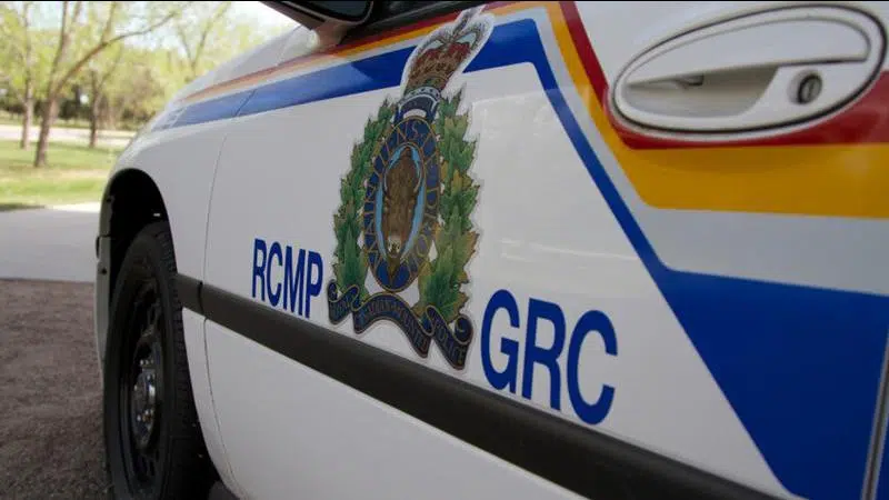 RCMP reflect on 2019 highlights and challenges | meadowlakeNOW