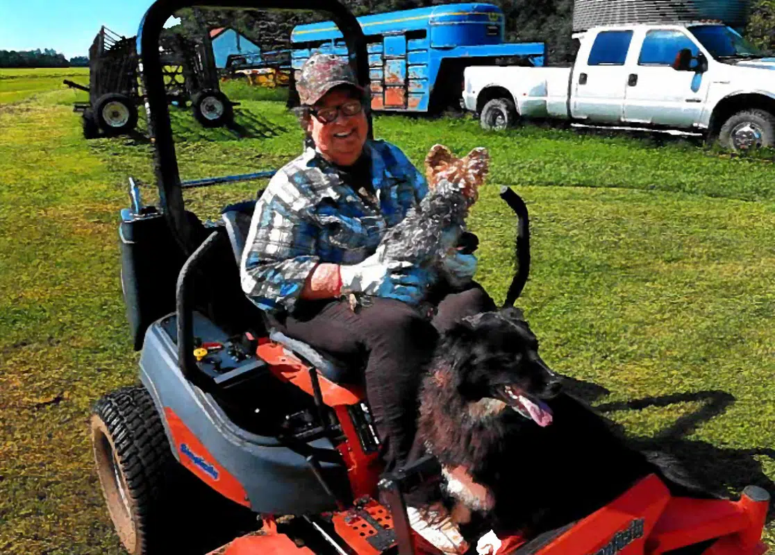 Debra Schwartz | meadowlakeNOW