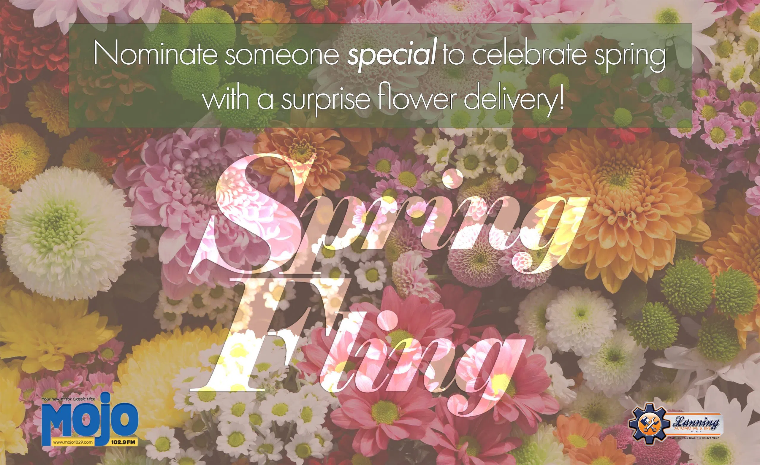 Spring Fling Mojo 1029