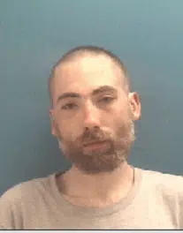 Man arrested after entering unlocked vehicle | Local News Digital