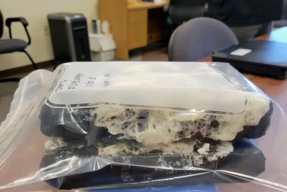 Cocaine seized during Jackson County traffic stop | Local News Digital