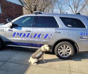 Edinburgh Police K9s get body armor | Local News Digital