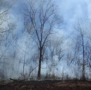 Prescribed fires planned for Hoosier National Forest | Local News Digital