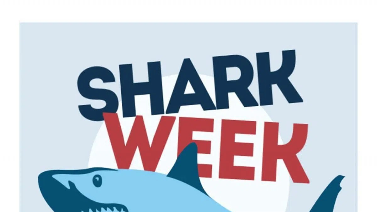 Mill Race Center hosts “Shark Week”-inspired activities this week | QMIX 107.3