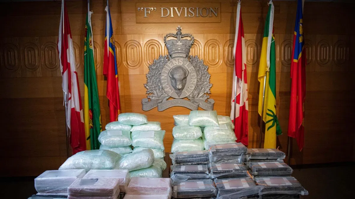 Saskatchewan RCMP Roving Traffic Unit seizes 155 kilograms of illicit ...