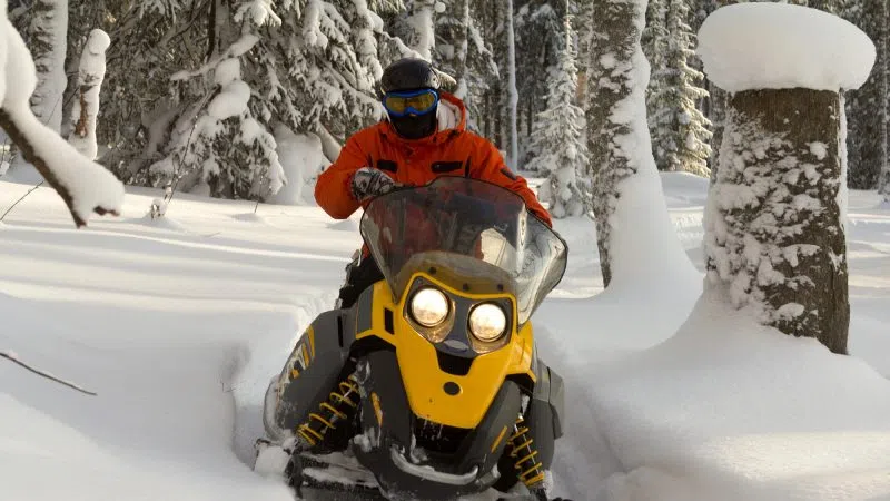 ‘Top Gun: Maverick’ copyright claim against Paramount rejected by US ...