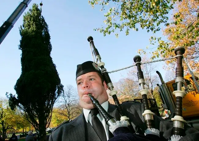 Halifax Explosion Christmas tree prepared for journey to Boston from ...