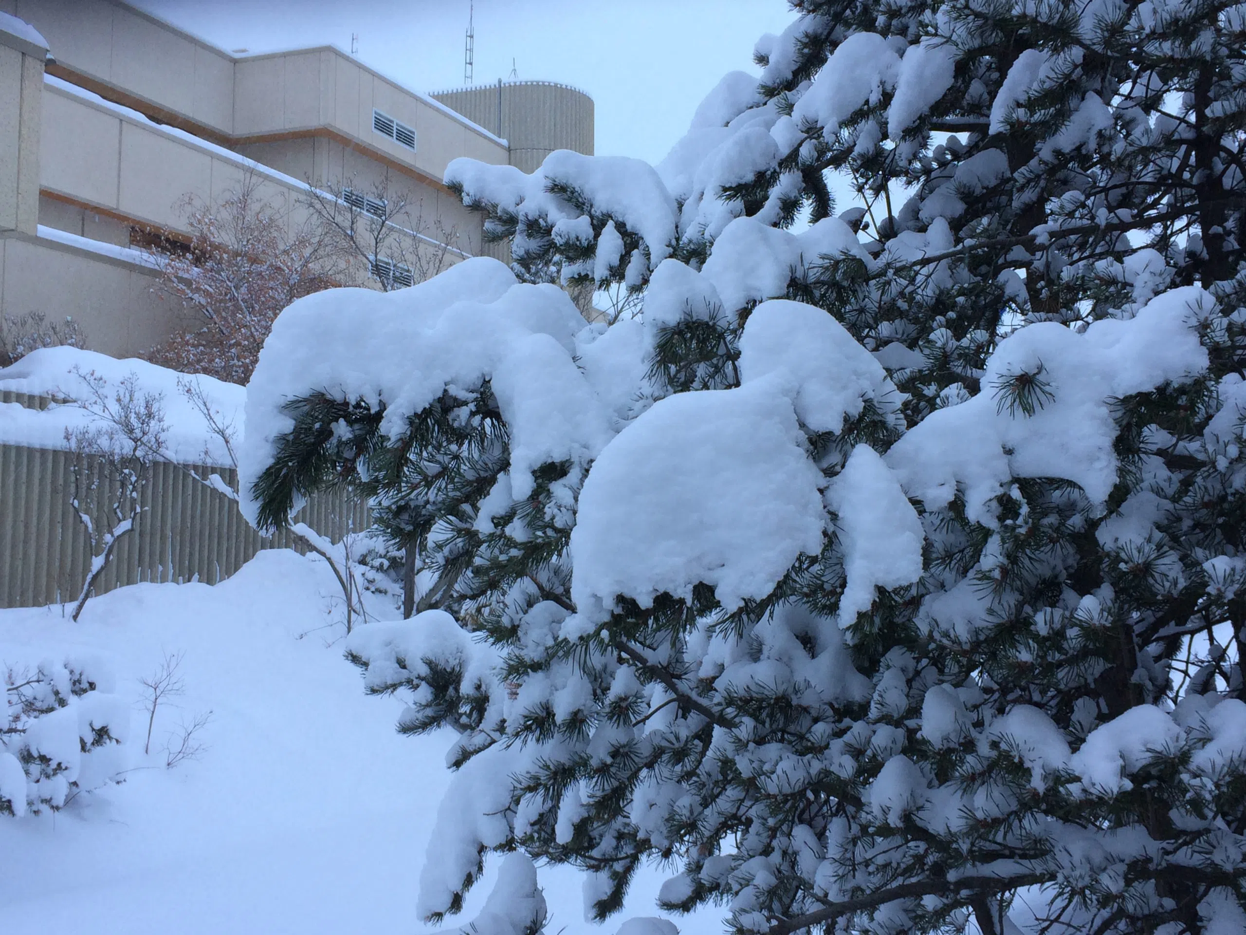 Snowfall warning for Grande Prairie and area | EverythingGP