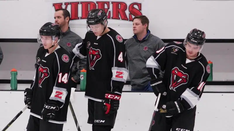 Vipers honour fallen family member while facing early season adversity ...