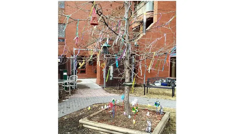 “Tree of Hope” helps Red Deer seniors cope with pandemic | rdnewsnow.com