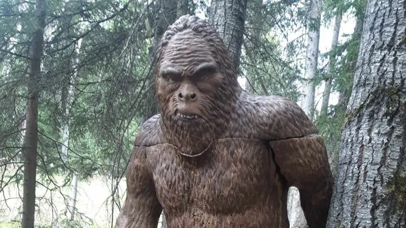 Oilman’s Archery Shoot to take place near Gimlet | rdnewsnow.com