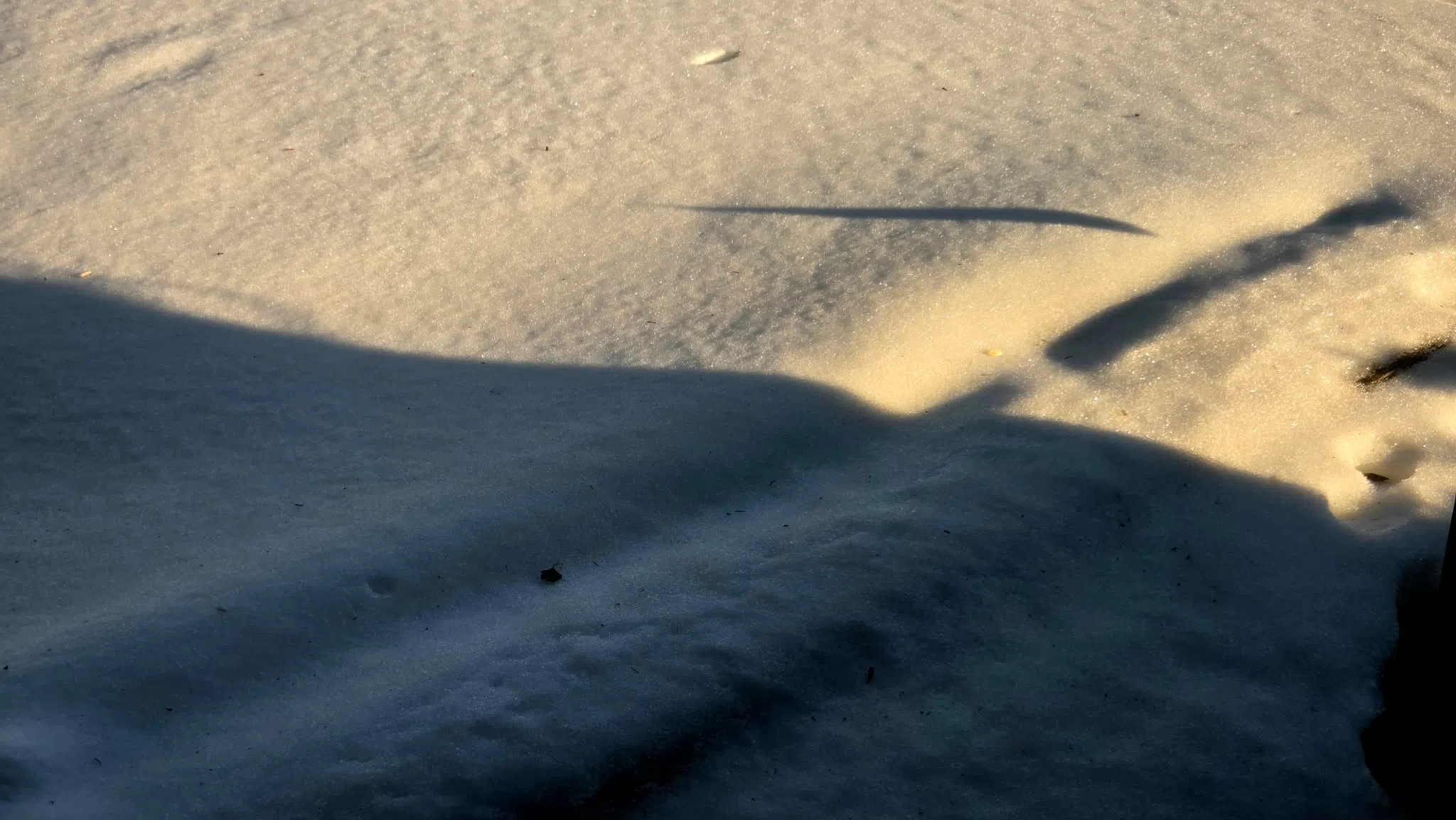 Red Deer sets record high temperature for Jan. 14 | rdnewsnow.com