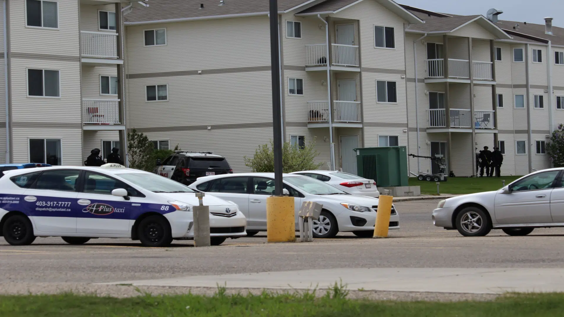 The calming voice in the middle of a storm | Lethbridge News Now