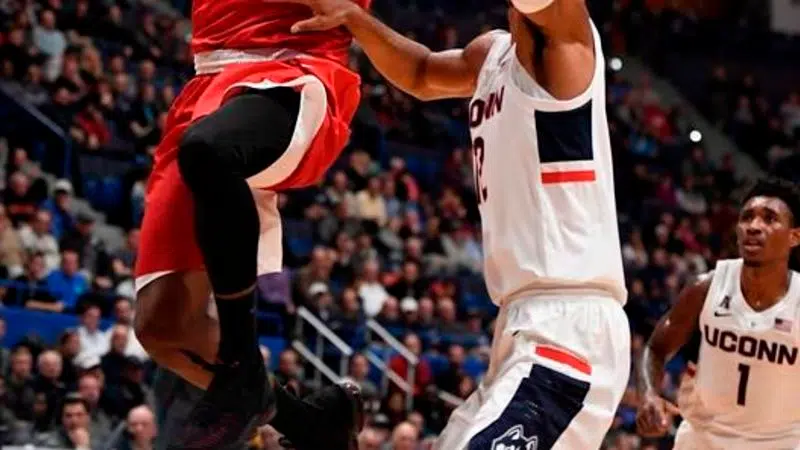 Toronto Raptors sign guard Matt Morgan | Lethbridge News Now