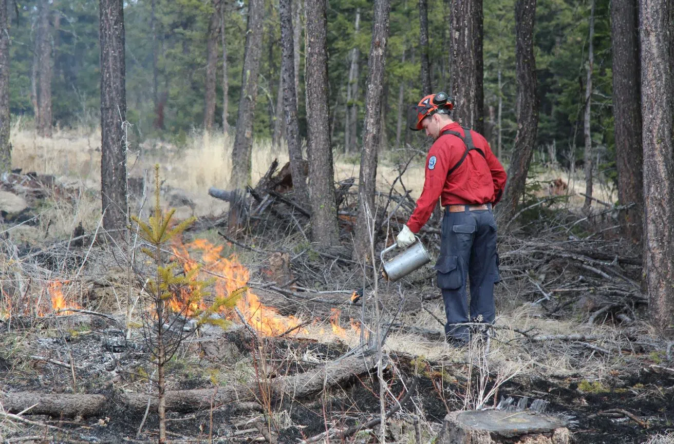 Pair of postponed prescribed burns in Kamloops scheduled for spring ...