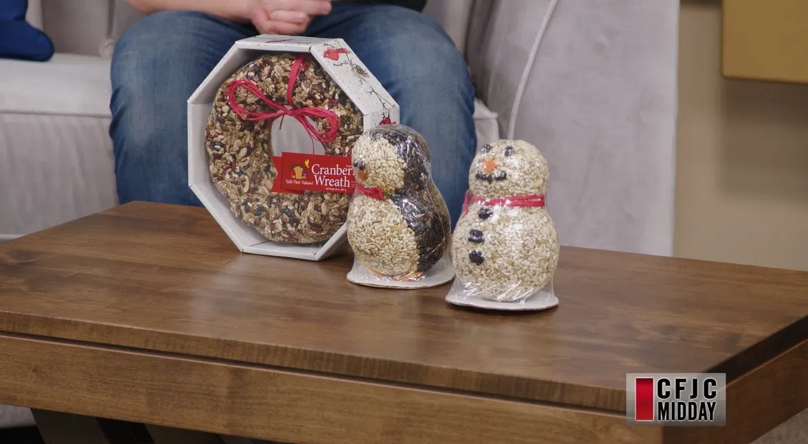 CFJC Midday – Kamloops residents prioritize protecting area birds ...