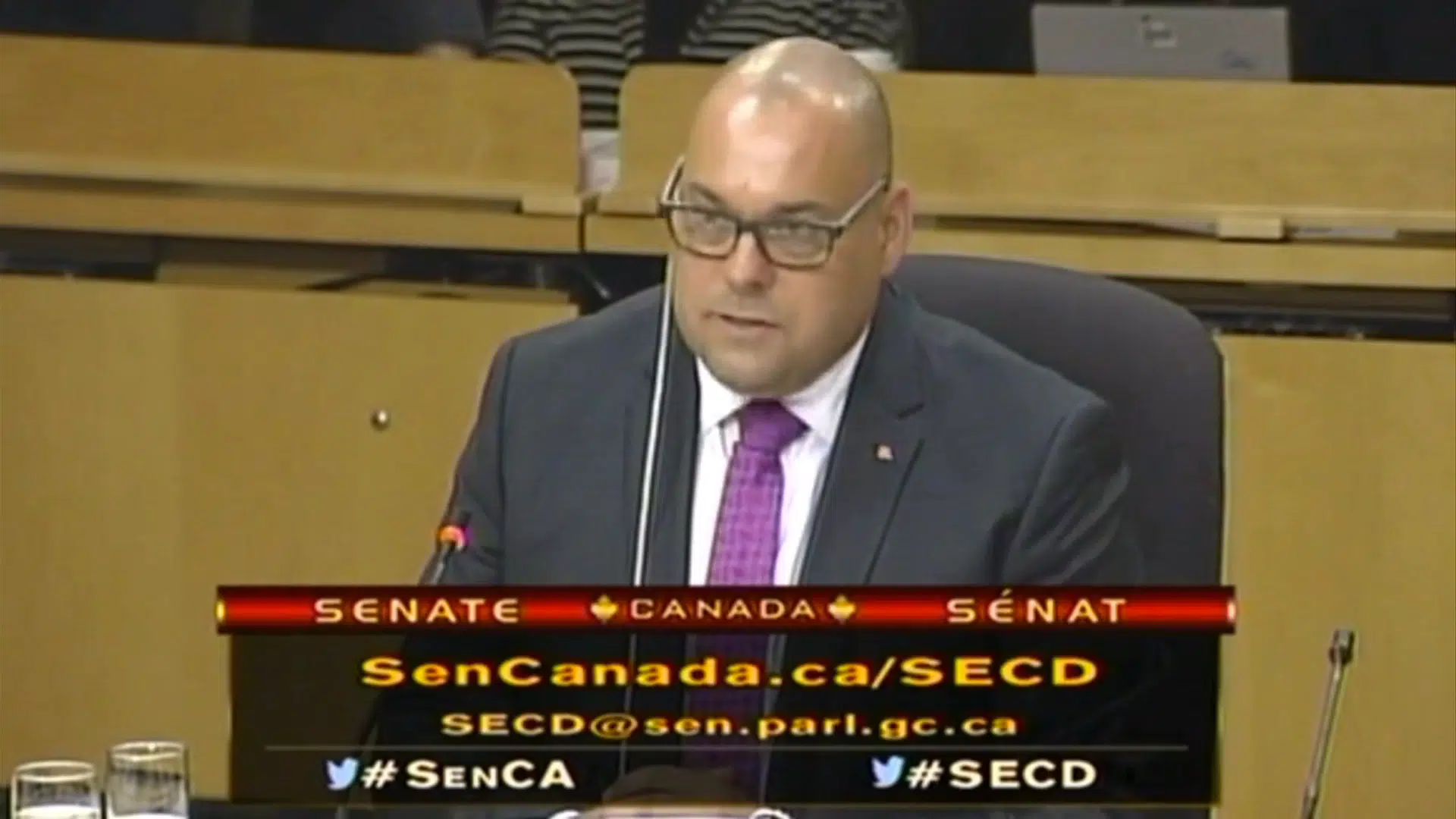 MP “Frustrated” Over PTSD Case | CKPG Today