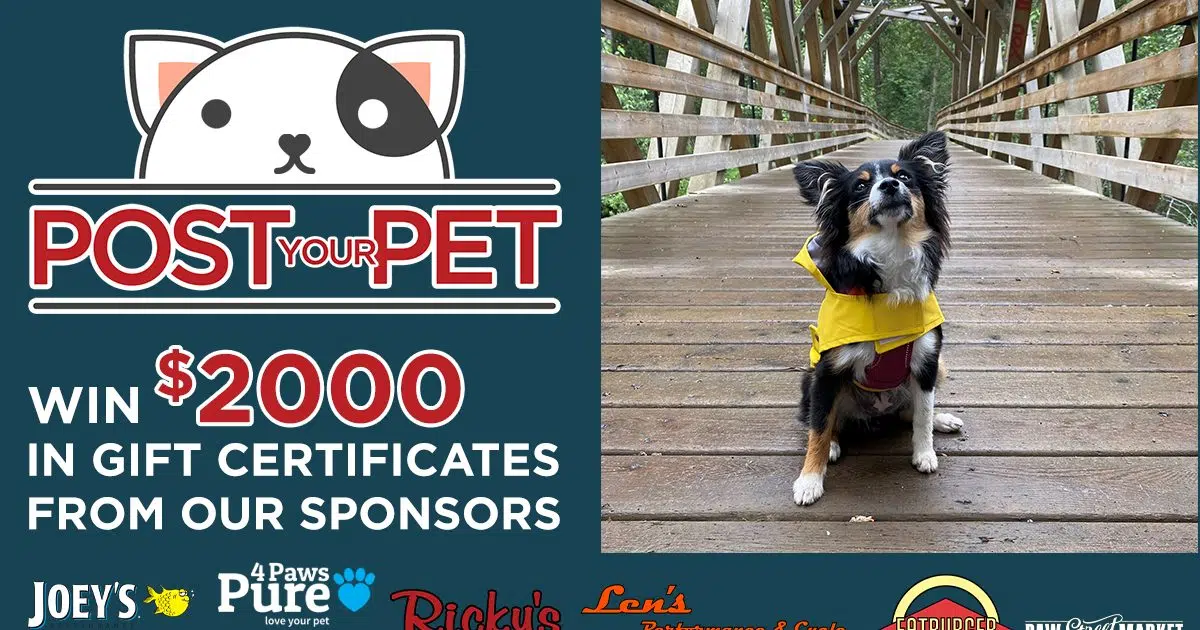 Post Your Pet 2022 | CKPG Today
