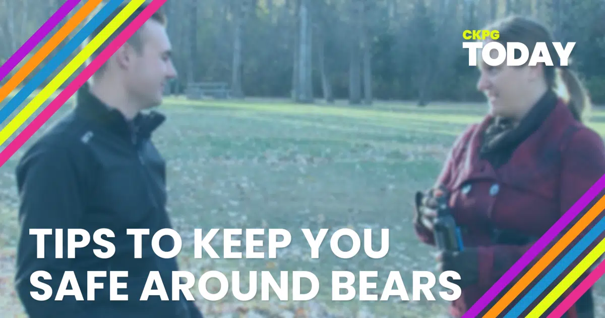 Tips to stay safe around bears | CKPG Today