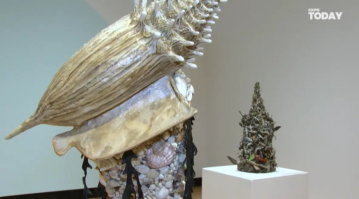 Dismantled Worlds opens at Two Rivers Gallery | CKPG Today