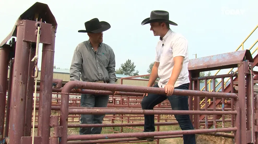 No bull, learn the mindset of a bull rider at the 56th Annual Quesnel ...