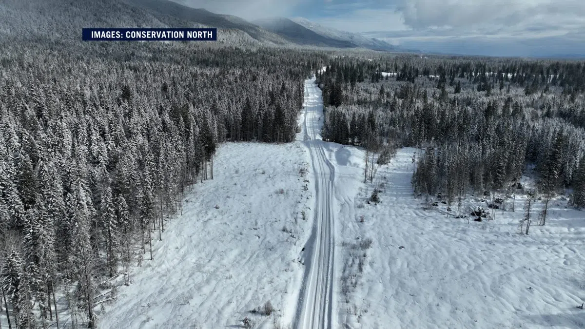 BC Government Expands West Twin Provincial Park to Protect Rare Old ...