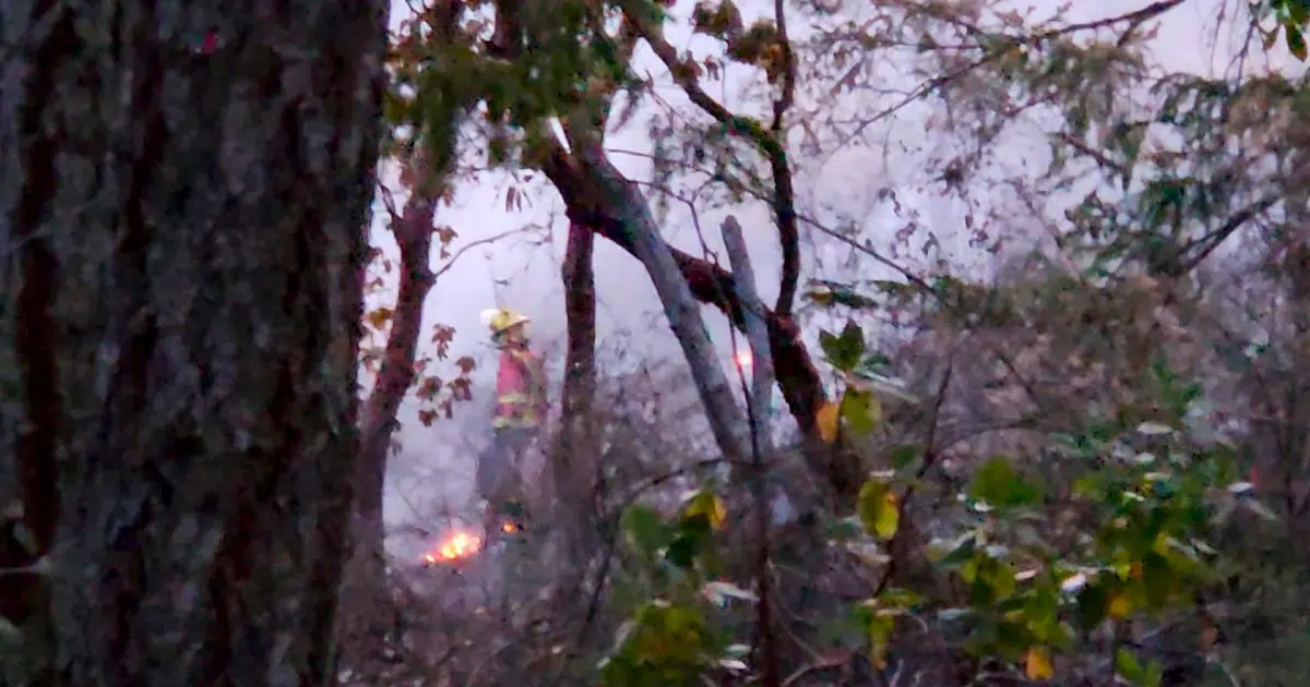 VIDEO: Quick action prevents further growth of small wildfire south of ...