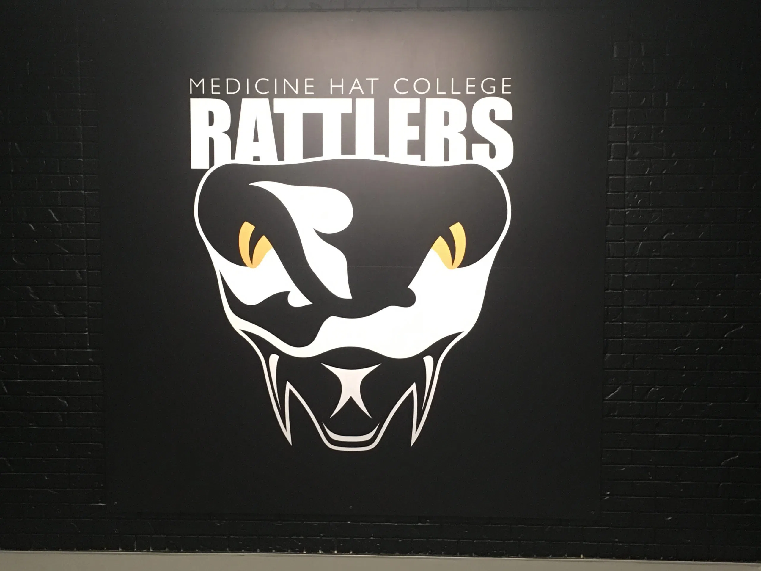 Rattlers basketball players honoured by ACAC | CHAT News Today