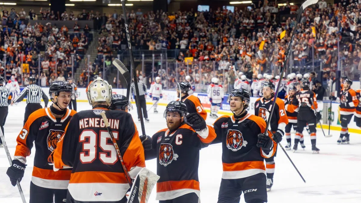 Basha and Lindstrom aid in return as Tigers tackle Chiefs in Game 1 of ...