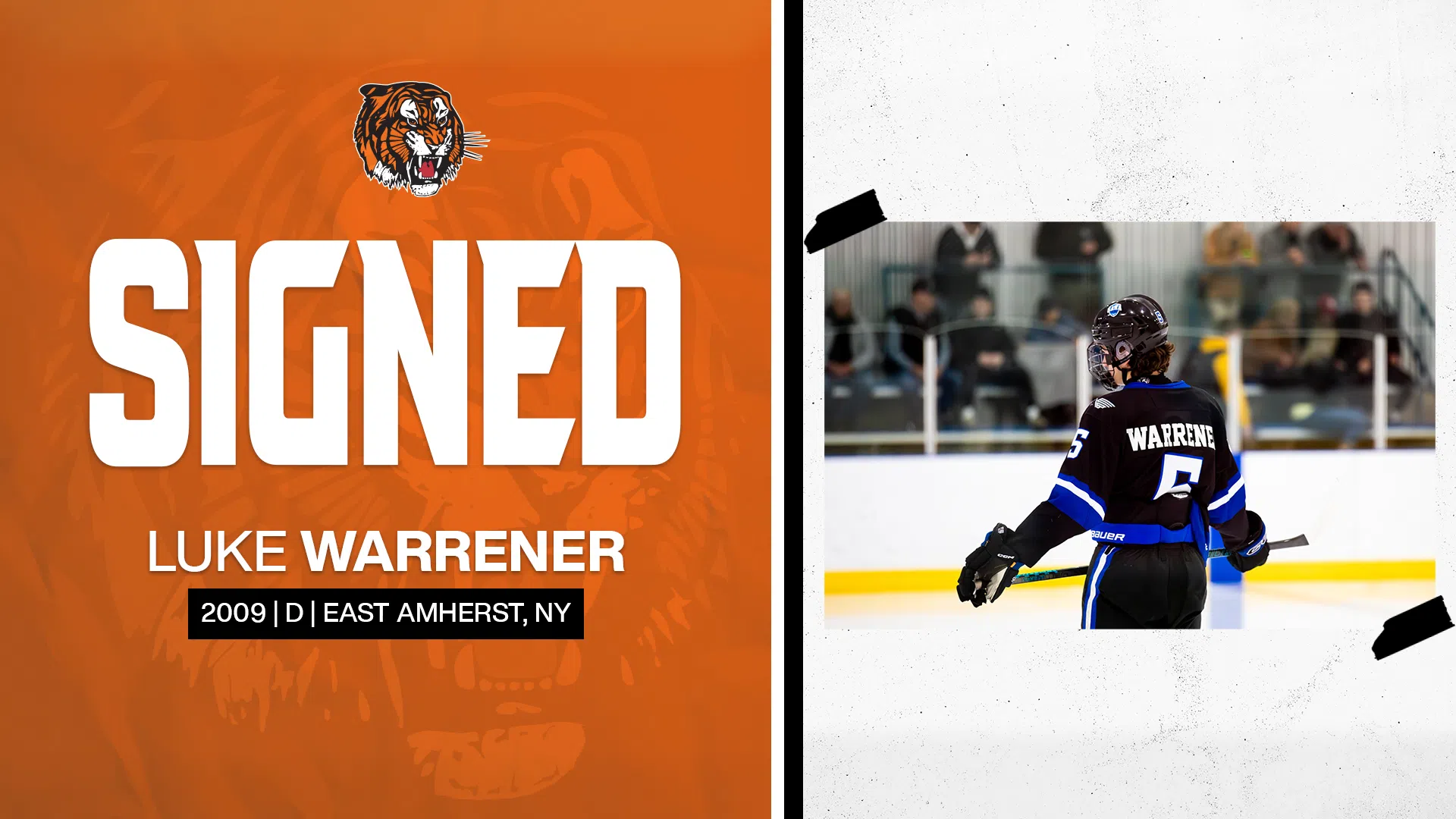Medicine Hat Tigers sign defenceman Luke Warrener | CHAT News Today