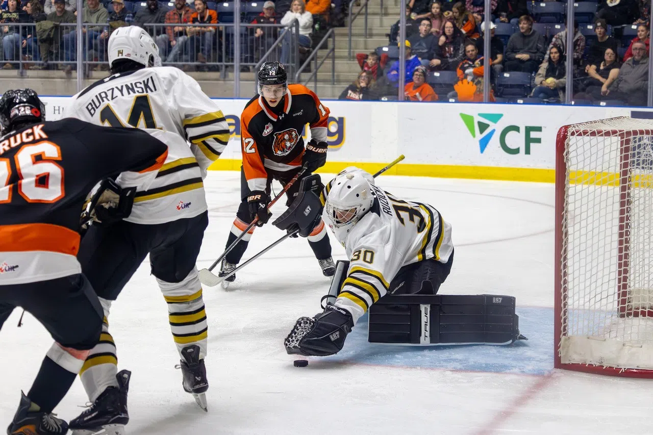 Tigers, Wheat Kings set to put seven-plus game win streaks on the line ...