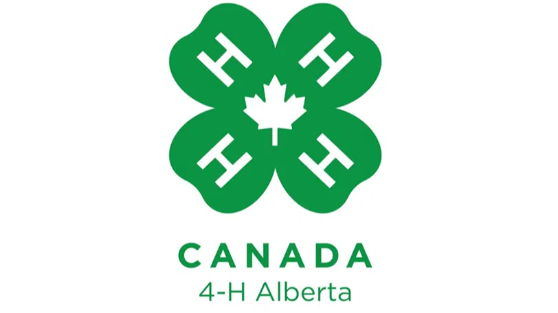 Recipients announced for the 2025 FCC 4-H Club Fund | CHAT News Today