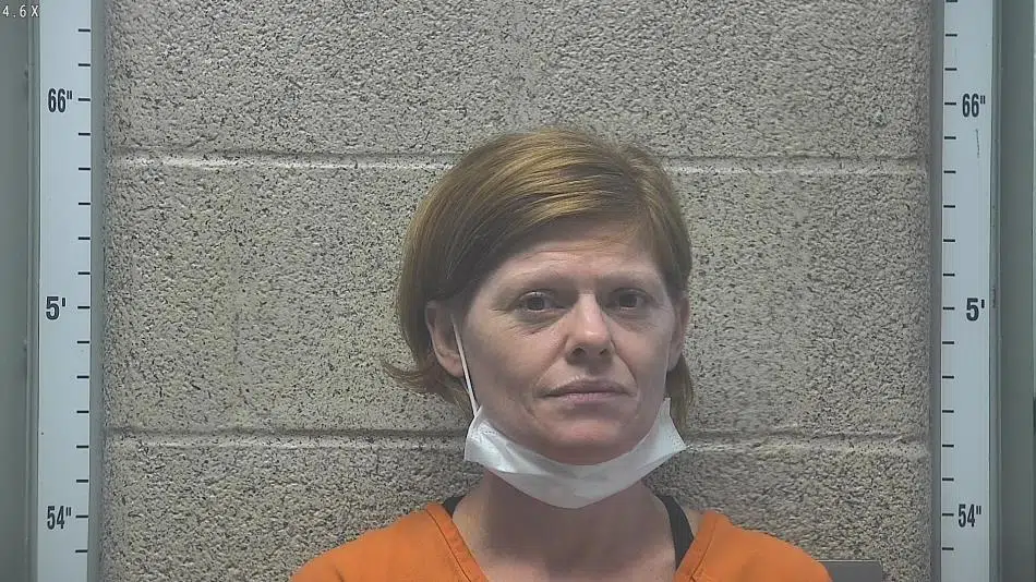 Pedestrian struck by car; driver arrested on traffic charges | WSON AM & FM