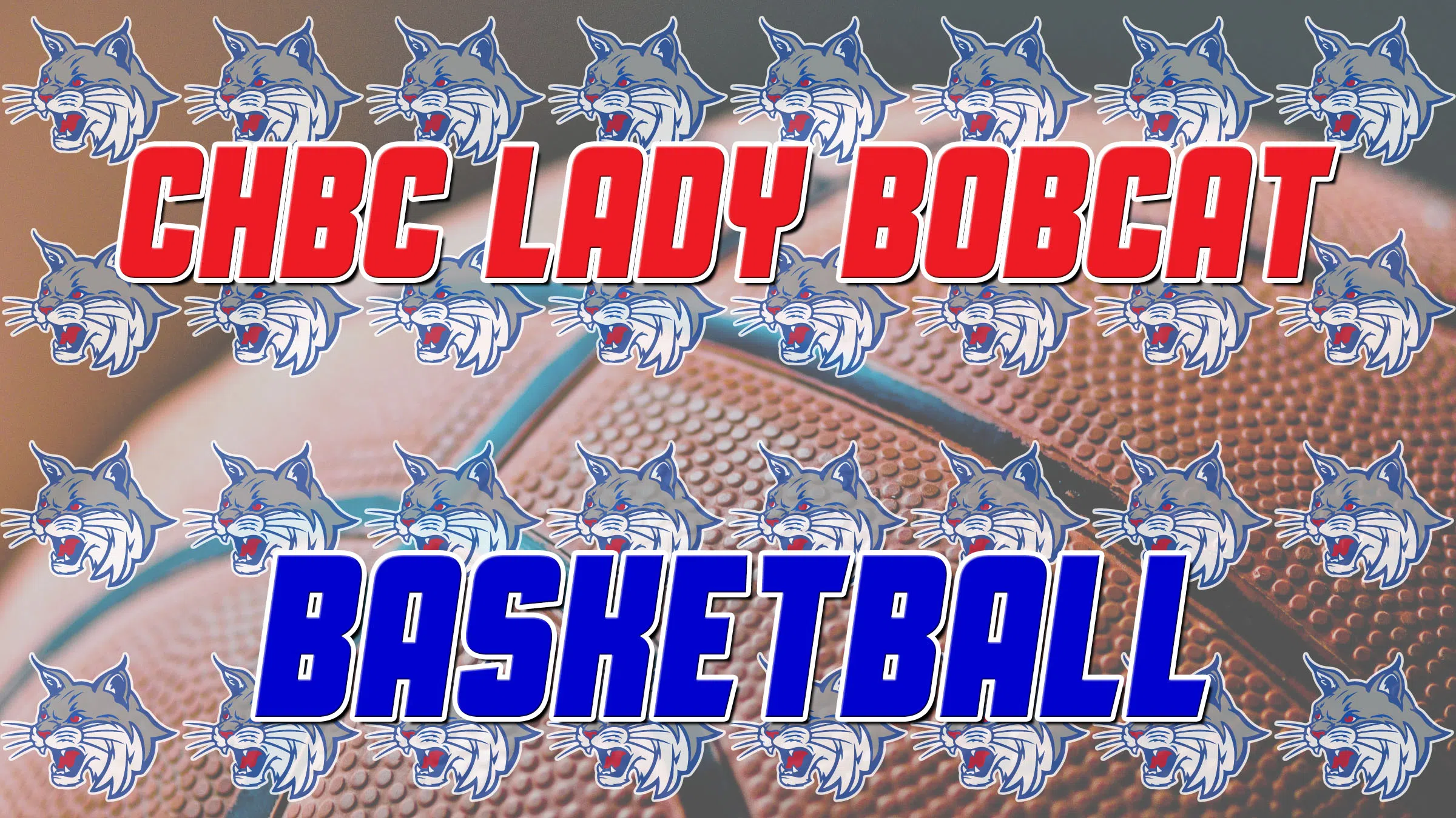 CHBC Girls Top Pana Behind Rodman’s Big Game | I70Sports