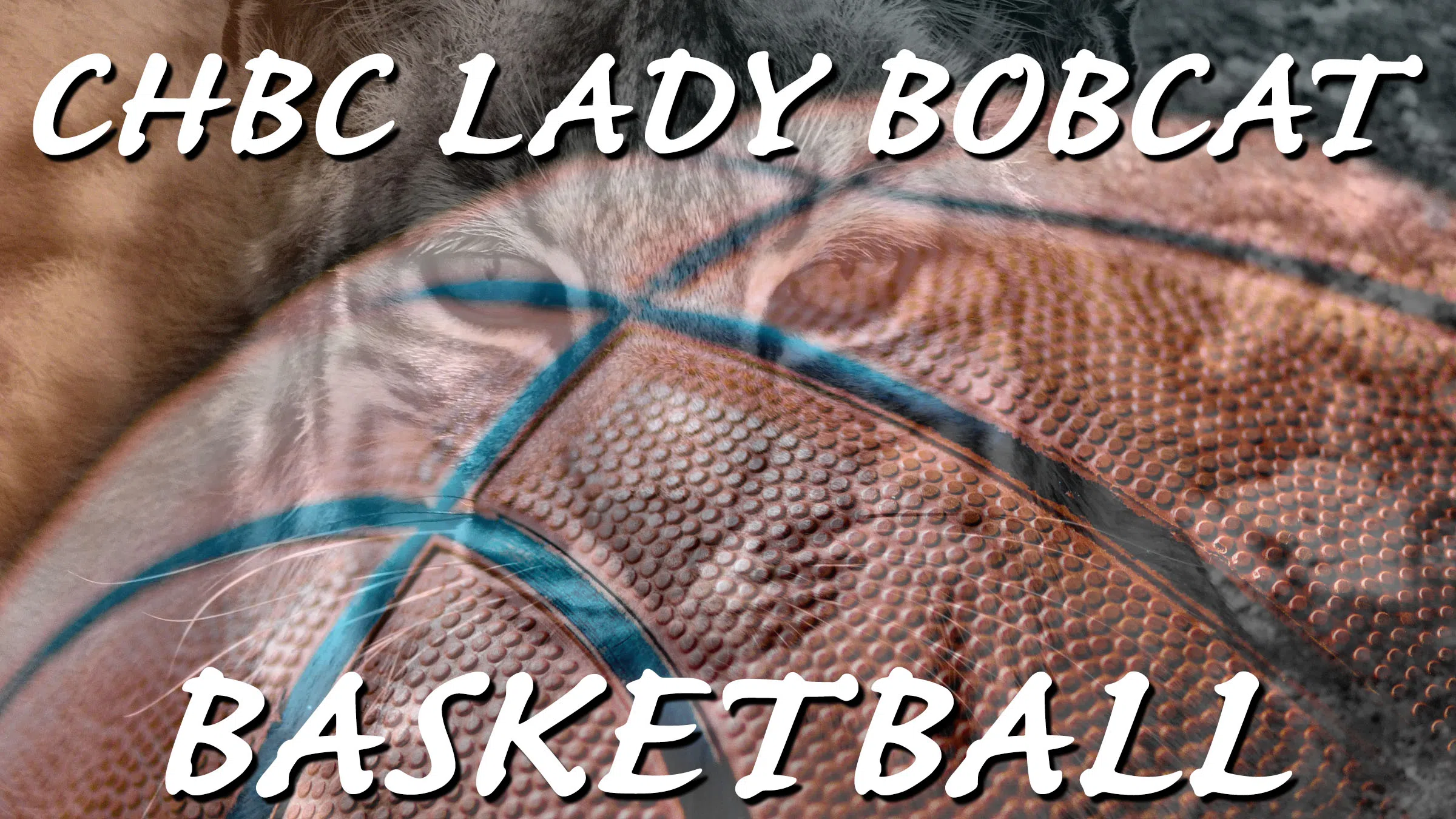 CHBC Girls Drop Two on Double Day at Own Tournament | Vandalia Radio
