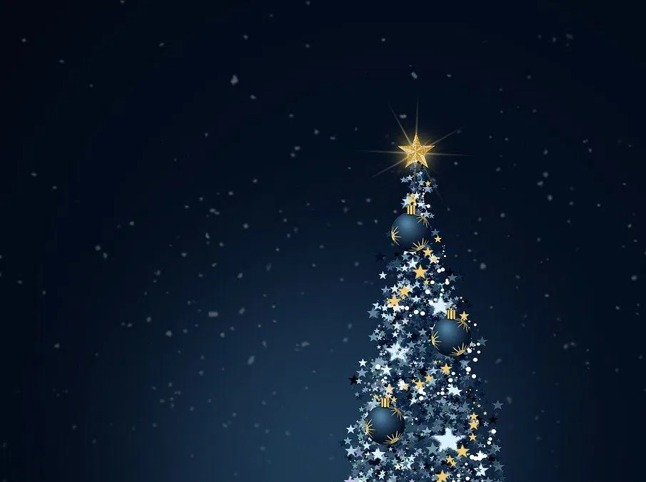 St. Mark Youth Enrichment collecting Christmas trees | 97 Seven Country ...