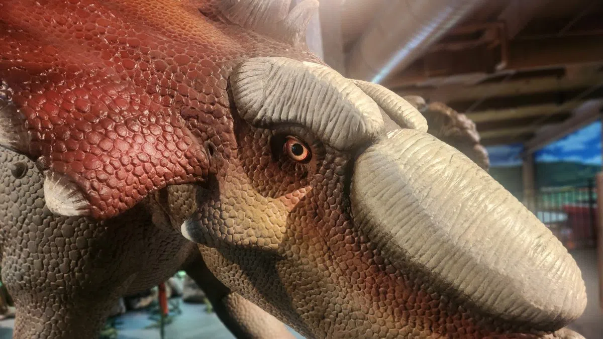 Ice Dinosaurs opens at the National Mississippi River Museum & Aquarium ...