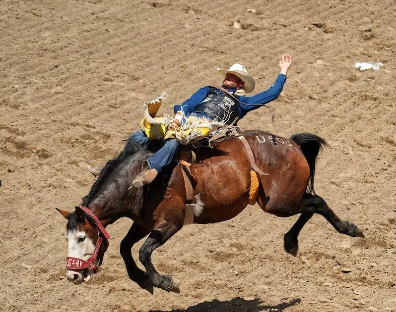 2nd Annual Fergus Falls Rodeo | Fergus Now