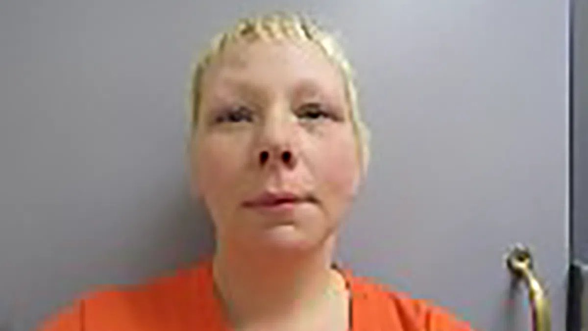 Wadena Woman Convicted for Disorderly Conduct After ‘Exposing’ Herself ...
